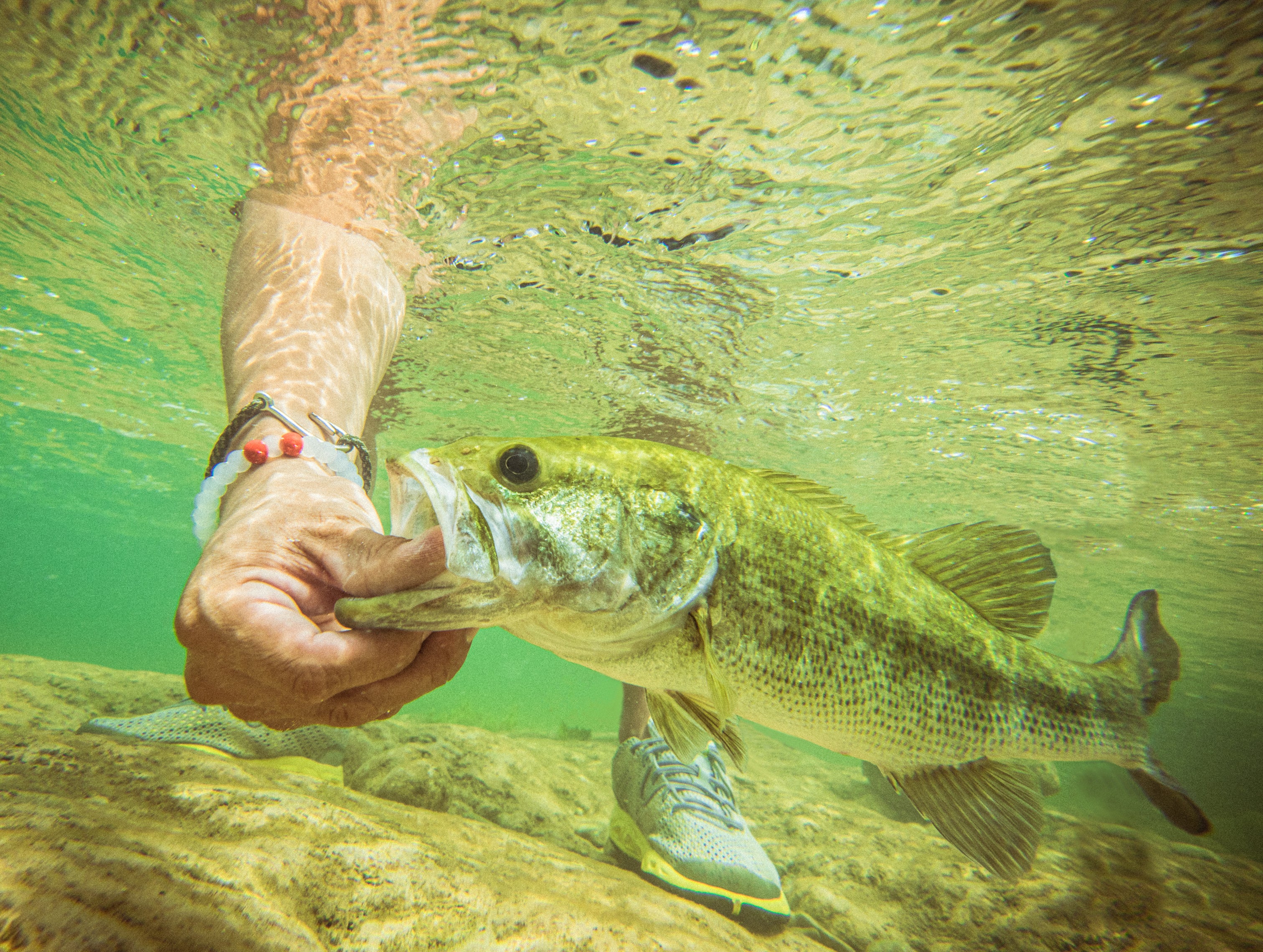 Lunker Legacy - Fishing with Dan Oko | Mustang Survival – Mustang ...